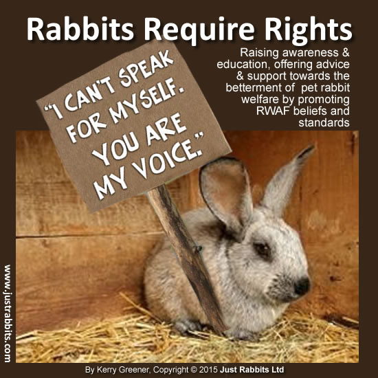 Welfare Legislation vs Neglect – Advocates For Rabbit Welfare